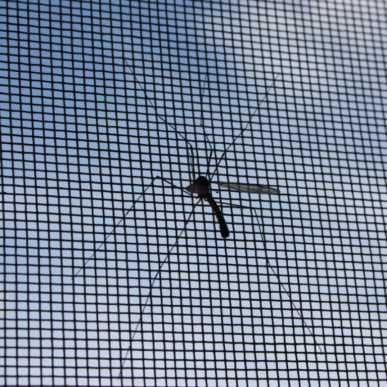 Super Screen® – World's leading manufacturer of innovative fabrics