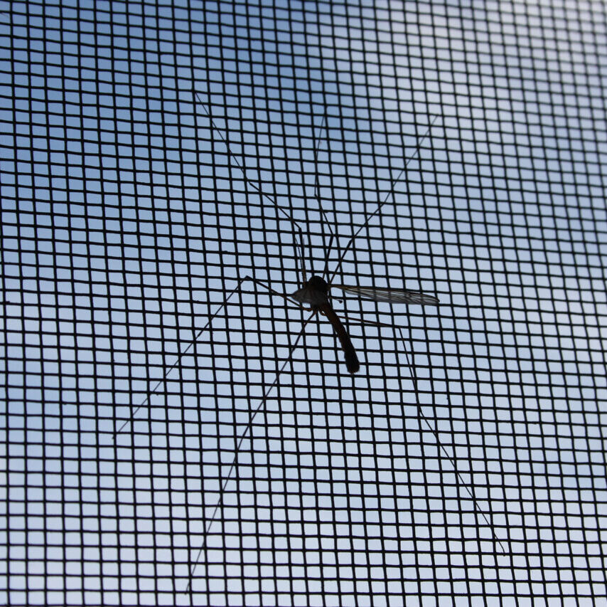 Super Screen® – World's leading manufacturer of innovative fabrics