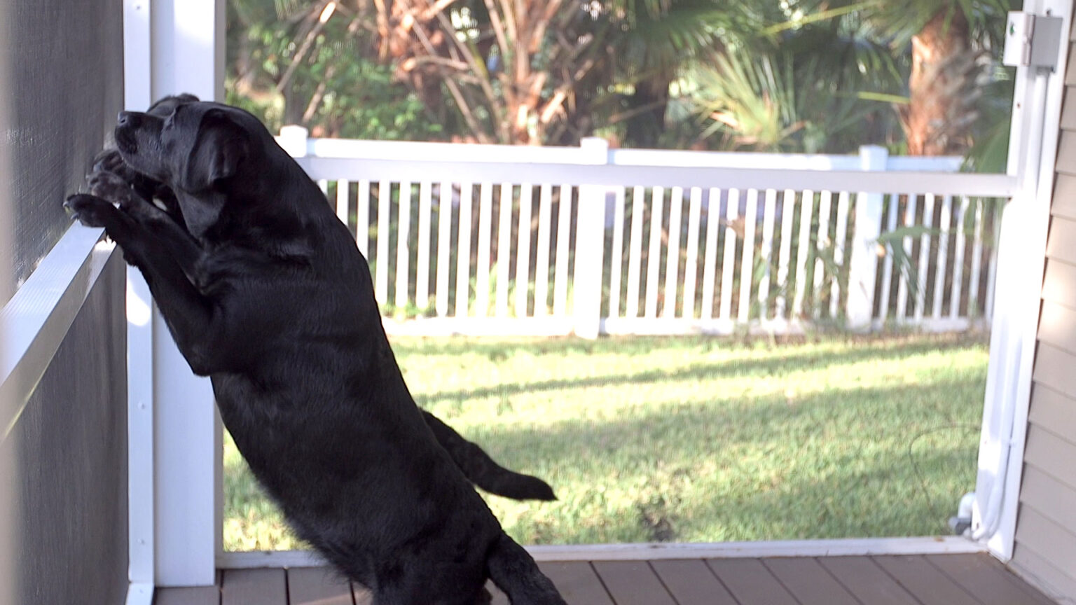 Super Screen® – World's leading manufacturer of innovative fabrics